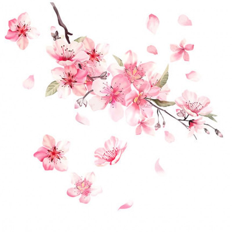 Detail Gambar Bunga Banyak Background Background Vektor Peach Koleksi Nomer 3