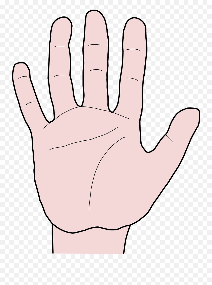 Jari Tangan Vektor - 46+ Koleksi Gambar Jari Tangan Vektor - 46+ Koleksi Gambar