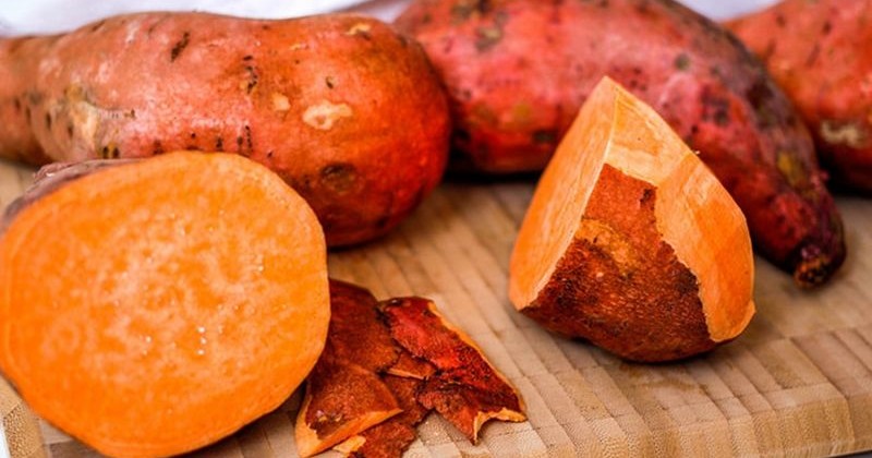 Detail Jenis Jenis Ubi Jalar Beserta Gambarnya Koleksi Nomer 27 Detail Jenis Jenis Ubi Jalar Beserta Gambarnya Koleksi Nomer 27