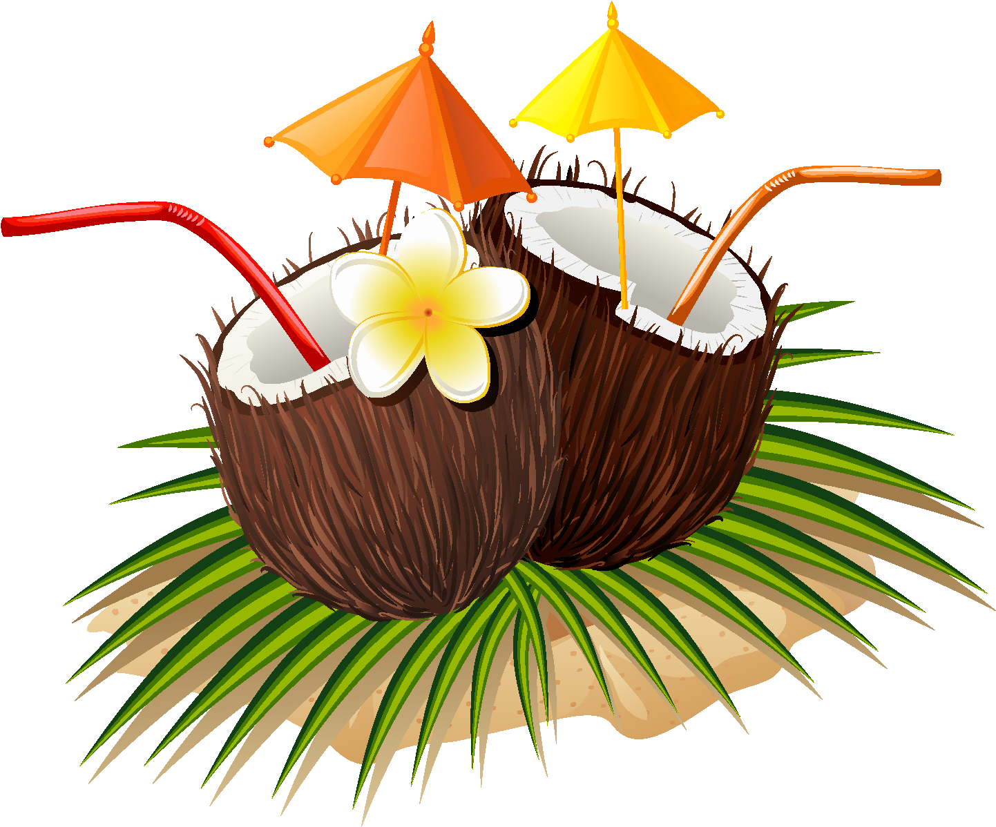 Halaman Unduh Untuk File Kelapa Muda Vector Yang Ke 20