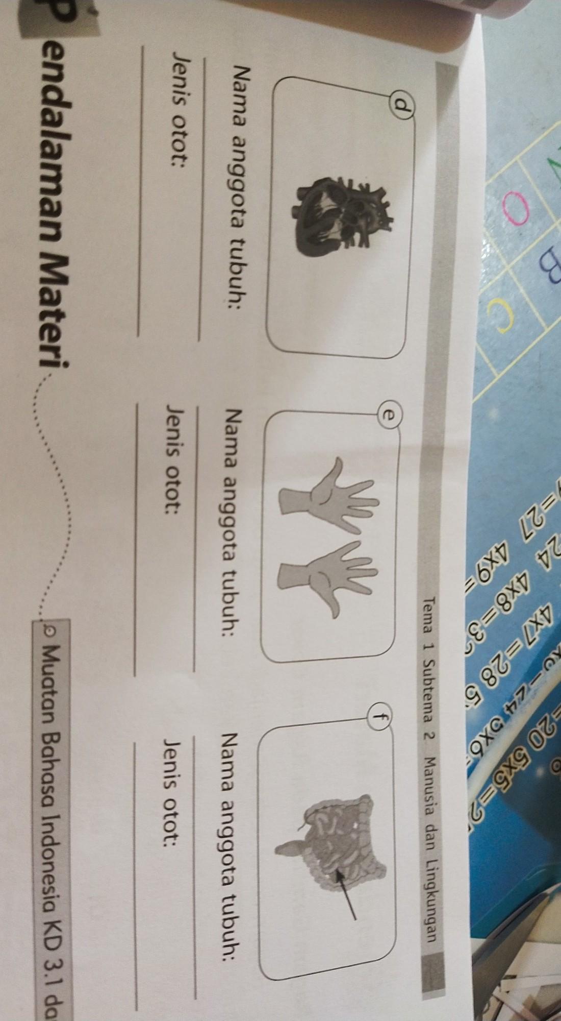 Detail Perhatikan Gambar Ketiga Jenis Otot Manusia Berikut Ini Koleksi ... Detail Perhatikan Gambar Ketiga Jenis Otot Manusia Berikut Ini Koleksi ...