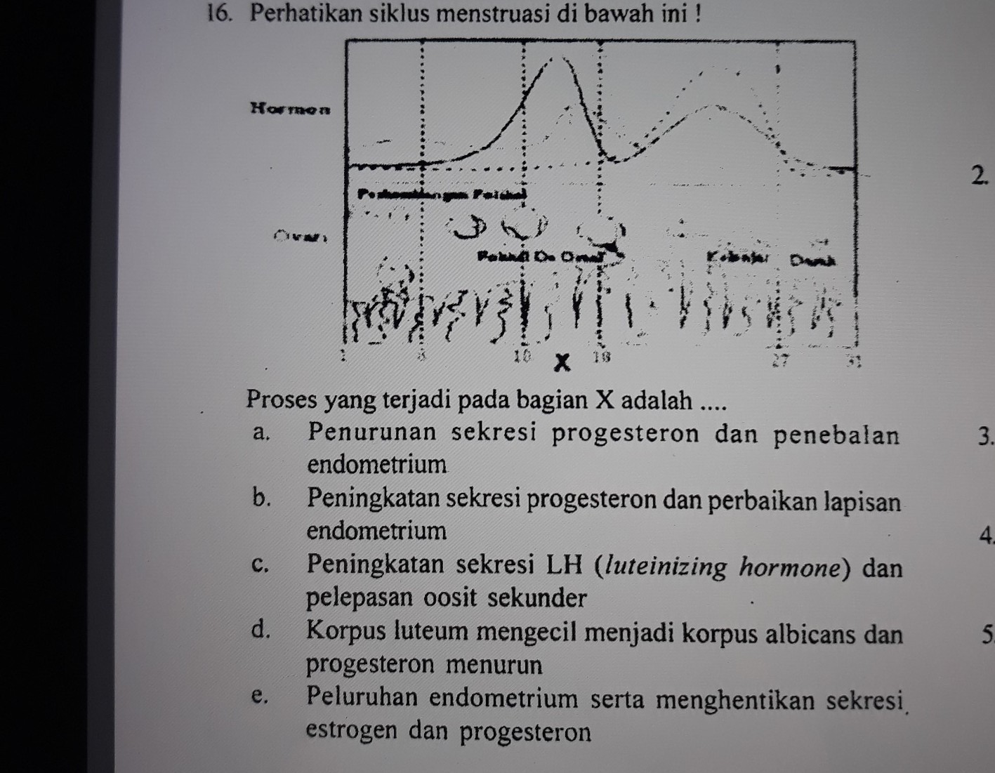 Perhatikan Gambar Siklus Menstruasi Berikut - 53+ Koleksi Gambar Perhatikan Gambar Siklus Menstruasi Berikut - 53+ Koleksi Gambar