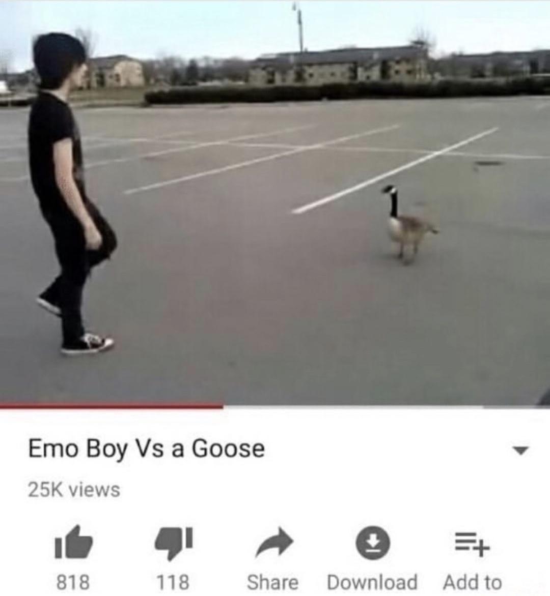 Emo Boy Vs Goose - 58+ Koleksi Gambar Emo Boy Vs Goose - 58+ Koleksi Gambar