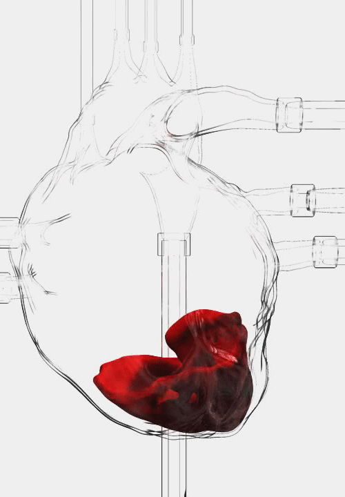 Bleeding Heart Animated 53 Koleksi Gambar