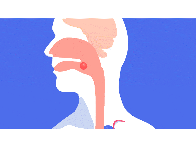 Detail Digestive System Koleksi Nomer 9