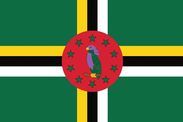 Detail Bendera Negara Warna Hijau Koleksi Nomer 10 Detail Bendera Negara Warna Hijau Koleksi Nomer 10