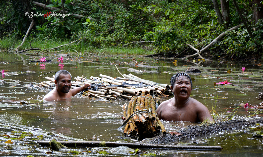 Foto Pemenang Lomba Fotografi Foto Pemenang Lomba Fotografi