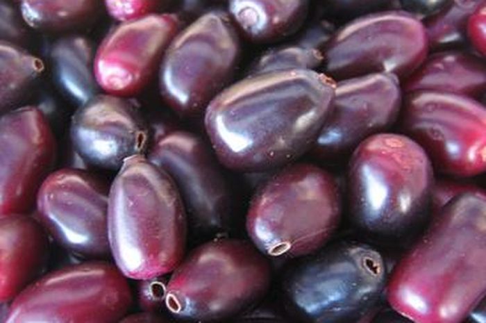 Halaman Unduh Untuk File Buah Warna Ungu Yang Ke 6