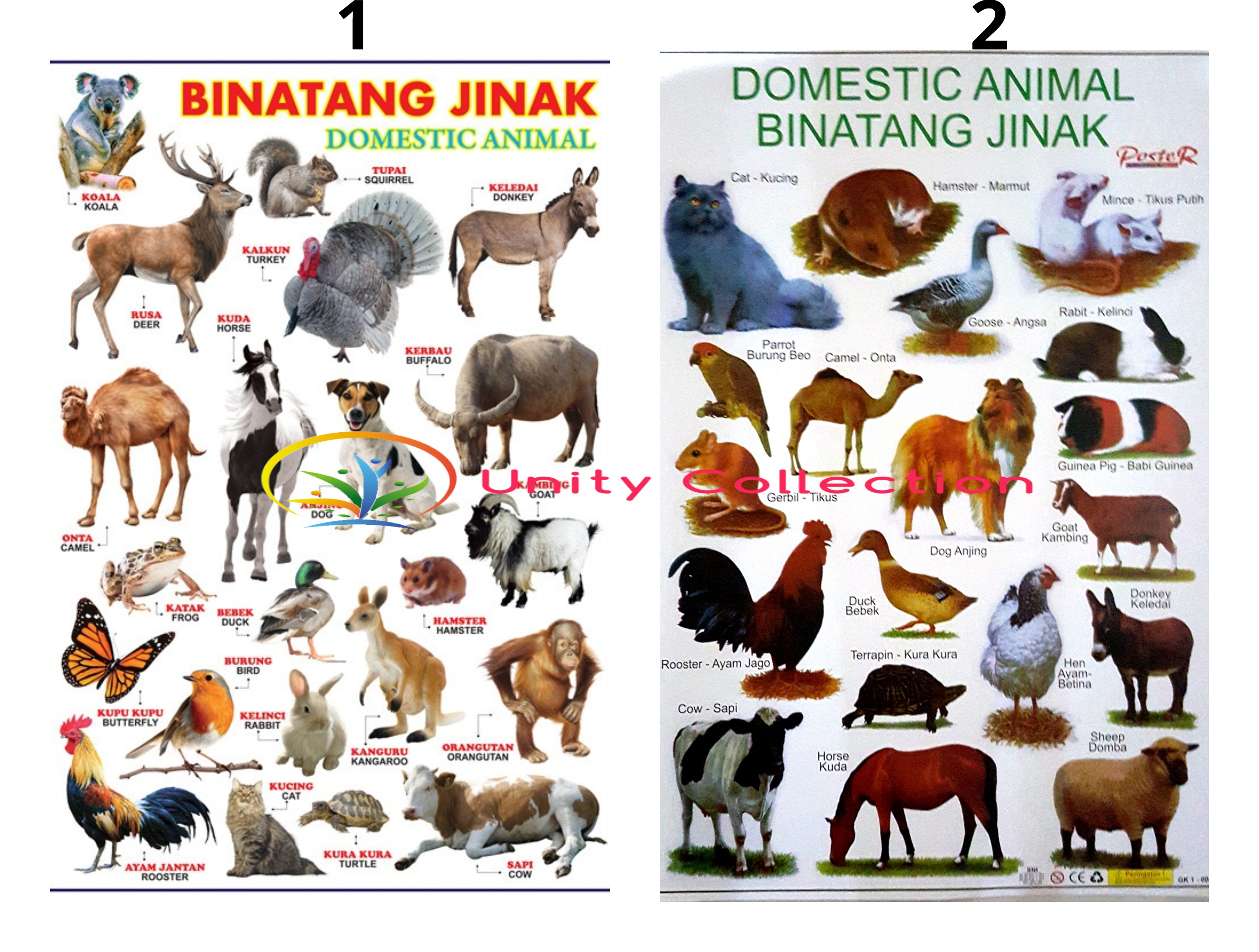 Detail Gambar Aneka Binatang Koleksi Nomer 3 Detail Gambar Aneka Binatang Koleksi Nomer 3