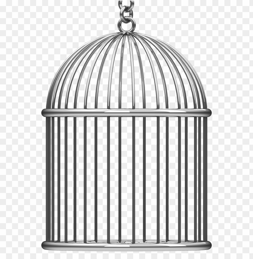 Cage Transparent - 56+ Koleksi Gambar