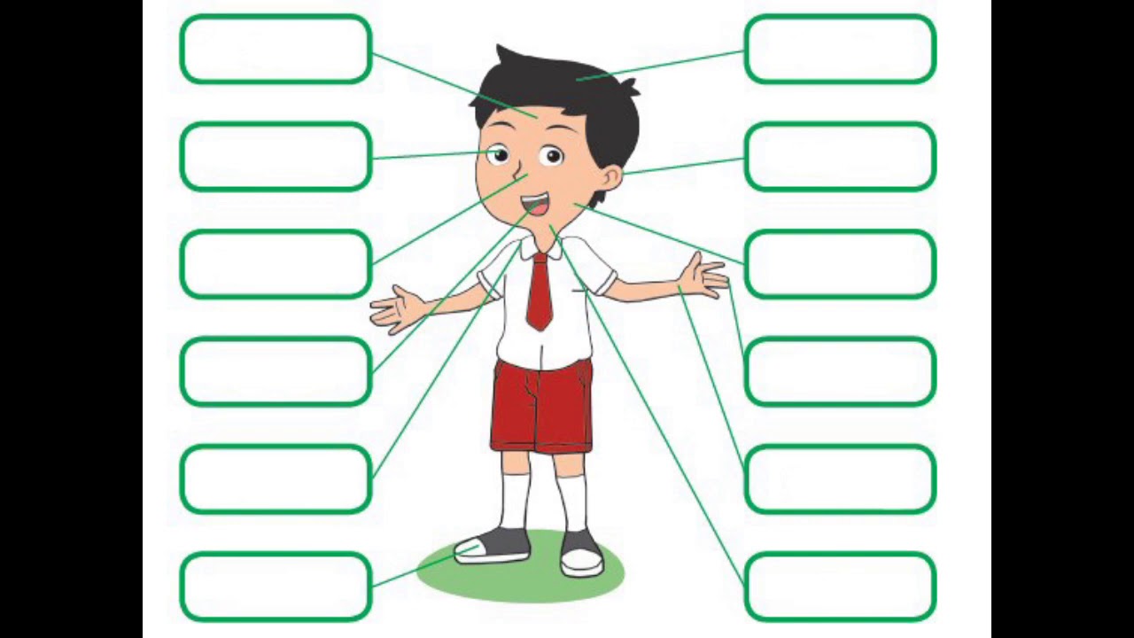 Gambar Bagian Tubuh Kartun - 54+ Koleksi Gambar Gambar Bagian Tubuh Kartun - 54+ Koleksi Gambar