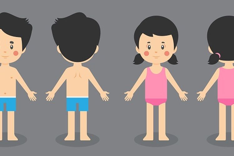 Gambar Bagian Tubuh Kartun - 54+ Koleksi Gambar Gambar Bagian Tubuh Kartun - 54+ Koleksi Gambar