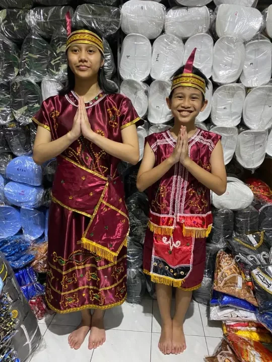 Detail Gambar Baju Adat Kalimantan Koleksi Nomer 36 Detail Gambar Baju Adat Kalimantan Koleksi Nomer 36