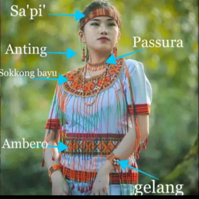 Gambar Baju Adat Toraja - 52+ Koleksi Gambar Gambar Baju Adat Toraja - 52+ Koleksi Gambar