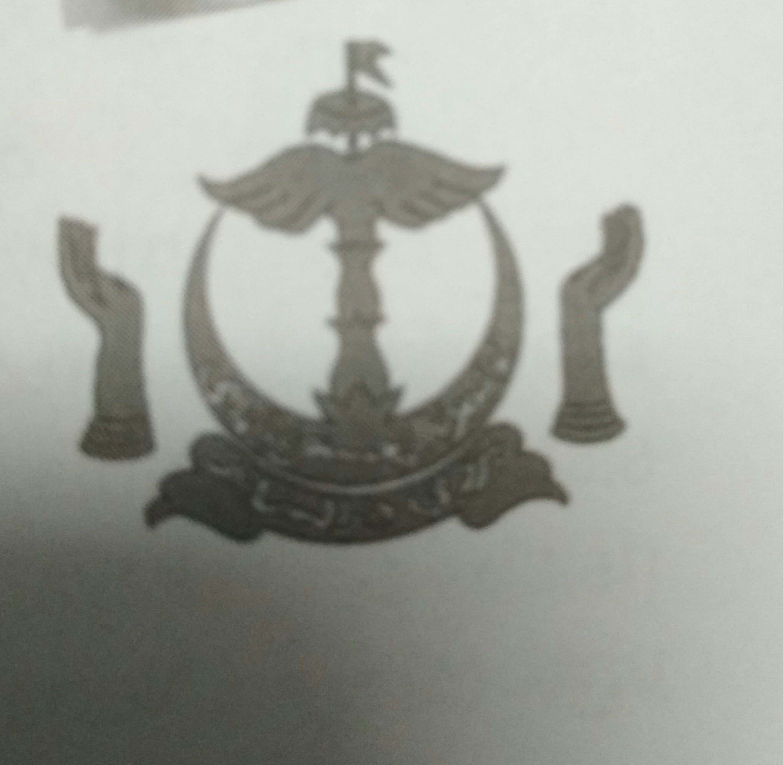 Detail Gambar Bendera Negara Brunei Darussalam Koleksi Nomer 40 