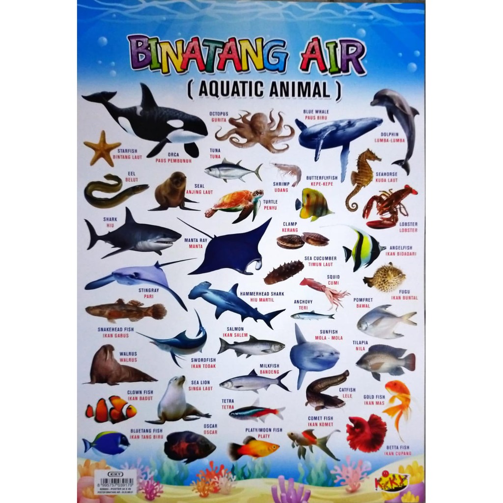 Detail Gambar Binatang Yang Hidup Di Air Koleksi Nomer 31 Detail Gambar Binatang Yang Hidup Di Air Koleksi Nomer 31