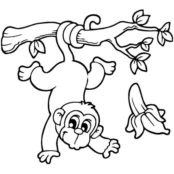Detail Gambar Mewarnai Monyet Kartun Koleksi Nomer 2 Detail Gambar Mewarnai Monyet Kartun Koleksi Nomer 2