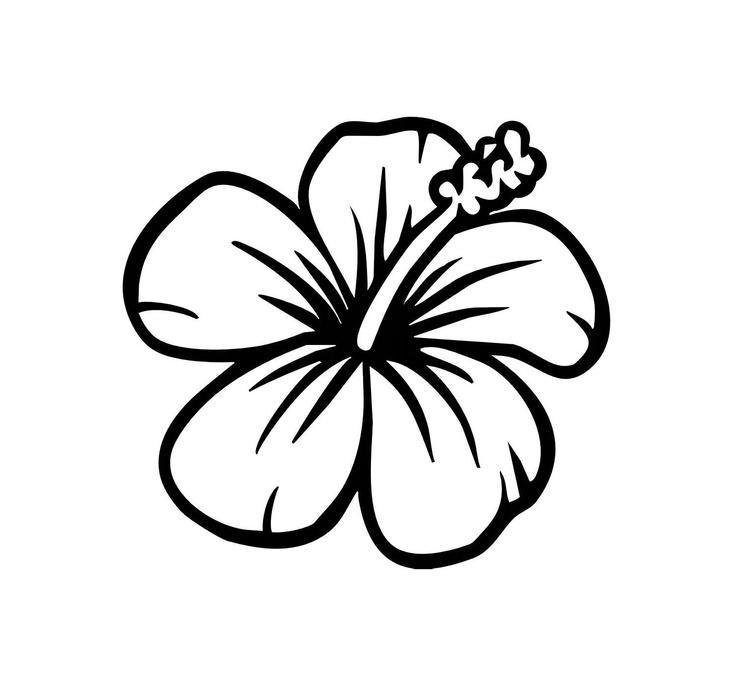 Detail Gambar Bunga Raya Outline Koleksi Nomer 8