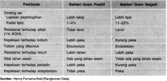 Detail Contoh Bakteri Gram Positif Dan Negatif Koleksi Nomer 31 Detail Contoh Bakteri Gram Positif Dan Negatif Koleksi Nomer 31