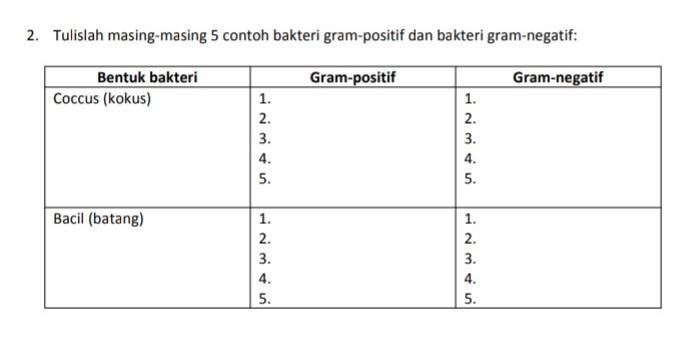 Detail Contoh Bakteri Gram Positif Dan Negatif Koleksi Nomer 36 Detail Contoh Bakteri Gram Positif Dan Negatif Koleksi Nomer 36