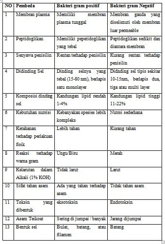 Contoh Bakteri Gram Positif Dan Negatif - 53+ Koleksi Gambar Contoh Bakteri Gram Positif Dan Negatif - 53+ Koleksi Gambar