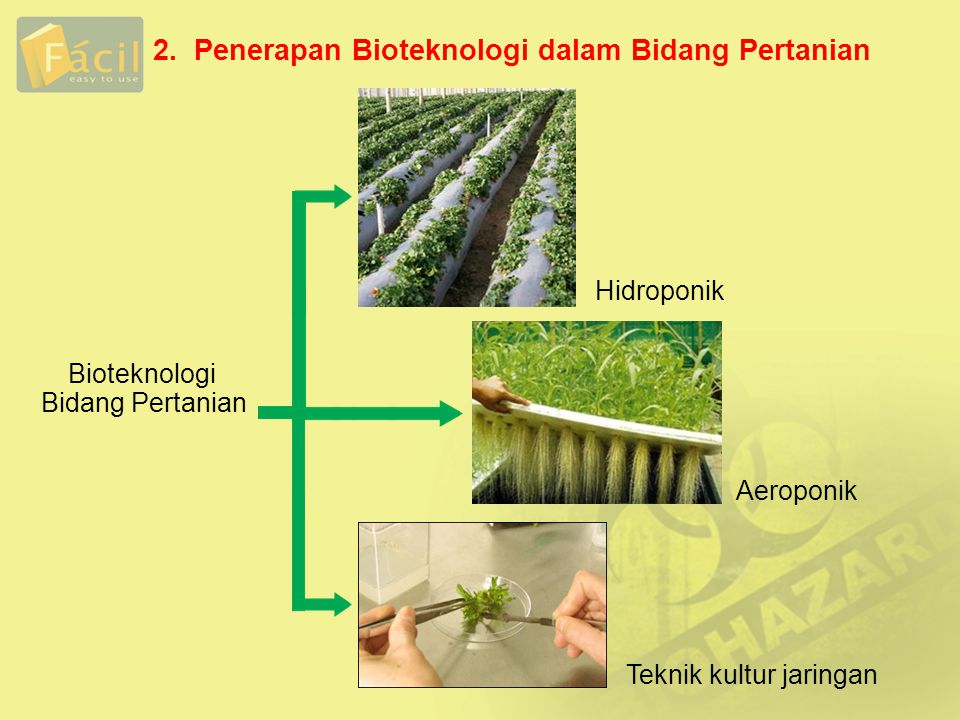 Detail Contoh Bioteknologi Lingkungan Koleksi Nomer 22 Detail Contoh Bioteknologi Lingkungan Koleksi Nomer 22