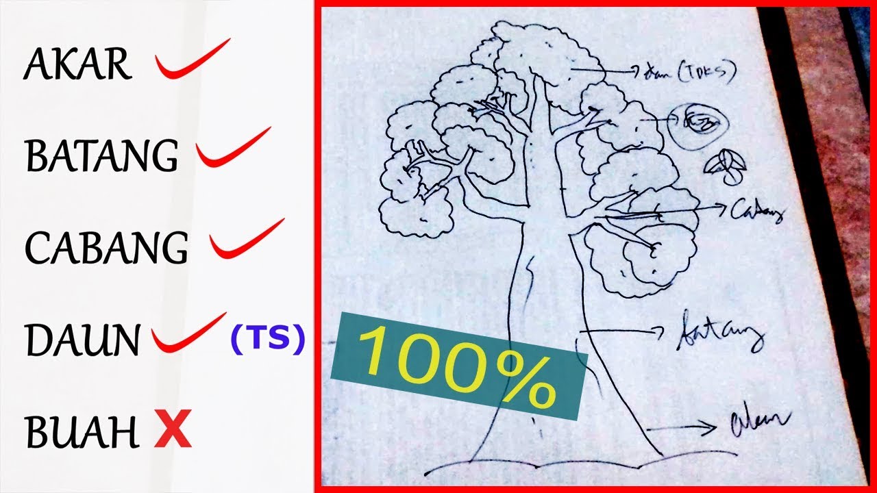 Detail Contoh Gambar Pohon Untuk Psikotes Koleksi Nomer 13