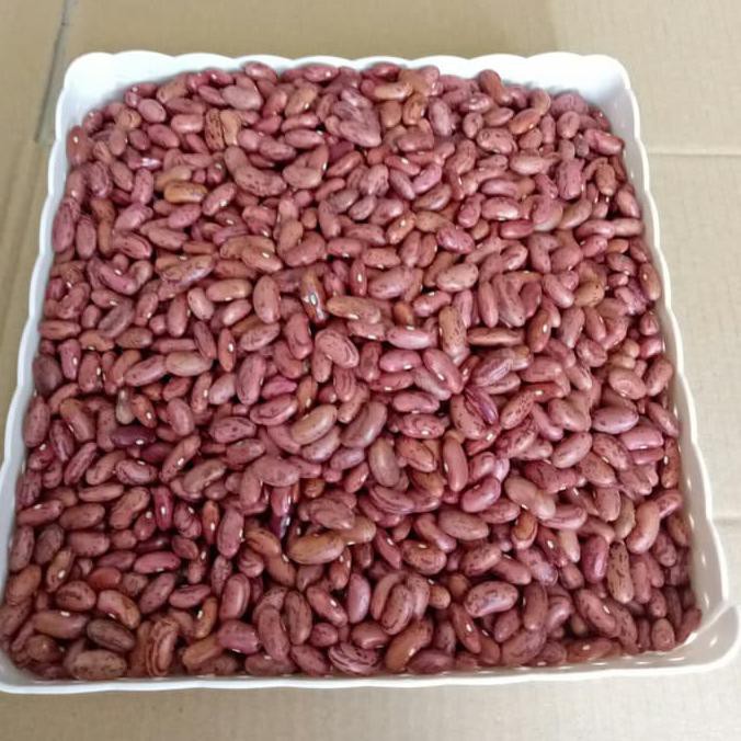 Detail Gambar Kacang Merah Kering Koleksi Nomer 3
