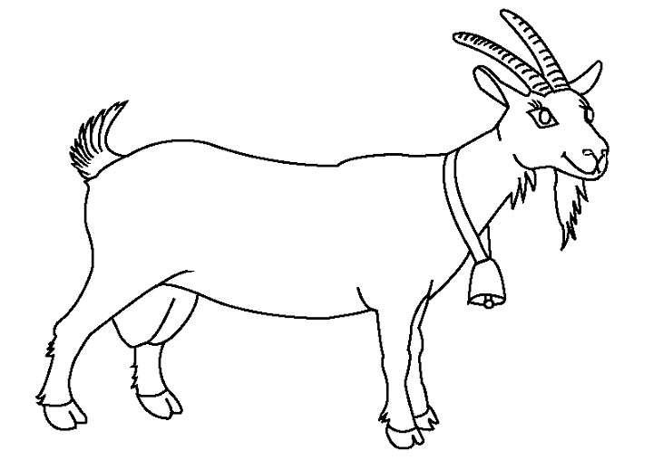 Gambar Kambing Hitam Putih - 55+ Koleksi Gambar Gambar Kambing Hitam Putih - 55+ Koleksi Gambar