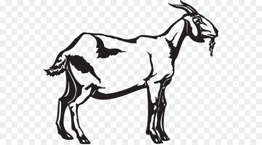Detail Gambar Kambing Hitam Putih Koleksi Nomer 3 Detail Gambar Kambing Hitam Putih Koleksi Nomer 3