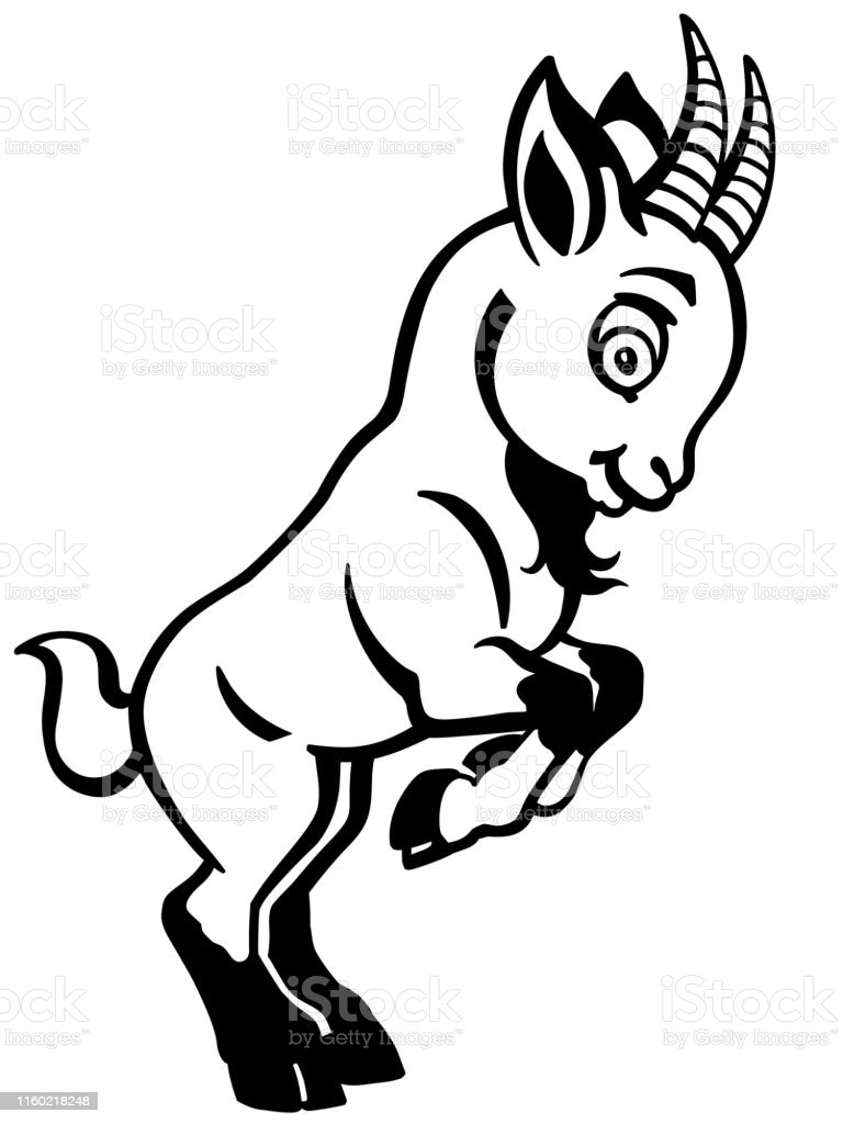 Detail Gambar Kambing Hitam Putih Koleksi Nomer 5 Detail Gambar Kambing Hitam Putih Koleksi Nomer 5