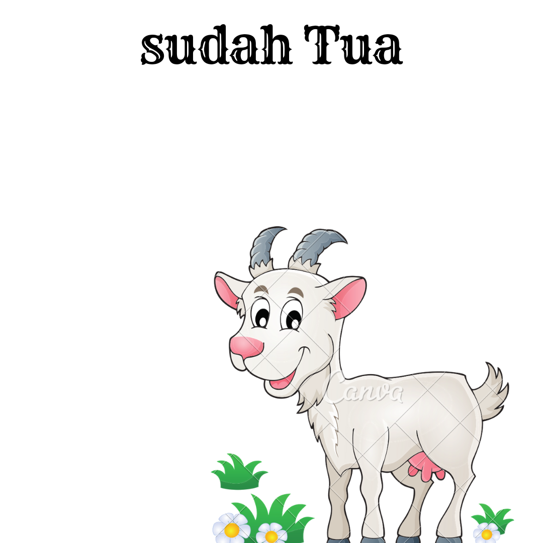 Gambar Kambing Hitam Putih - 55+ Koleksi Gambar Gambar Kambing Hitam Putih - 55+ Koleksi Gambar