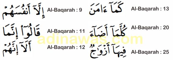 Detail Contoh Mad Wajib Muttasil Dalam Surah Al Baqarah Koleksi Nomer 7 Detail Contoh Mad Wajib Muttasil Dalam Surah Al Baqarah Koleksi Nomer 7