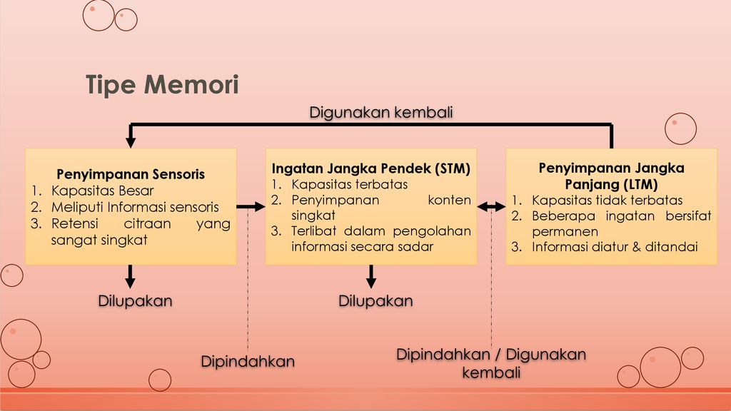 Contoh Memori Jangka Panjang - 48+ Koleksi Gambar Contoh Memori Jangka Panjang - 48+ Koleksi Gambar
