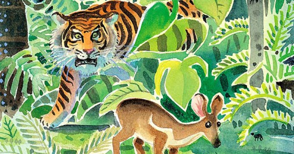 Gambar Kartun Harimau Dan Kancil 56 Koleksi Gambar