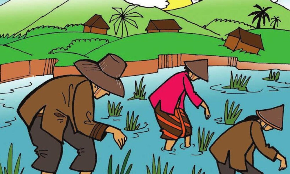 Detail Gambar Kartun Petani Menanam Padi Koleksi Nomer 5 Detail Gambar Kartun Petani Menanam Padi Koleksi Nomer 5