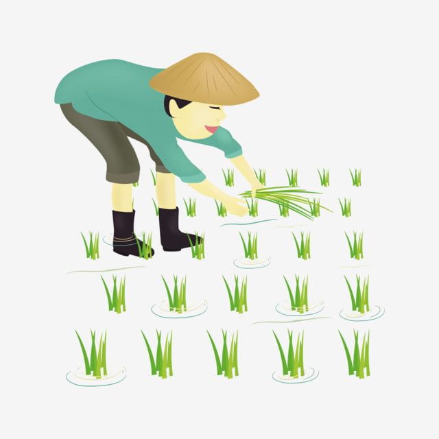 Detail Gambar Kartun Petani Menanam Padi Koleksi Nomer 43 Detail Gambar Kartun Petani Menanam Padi Koleksi Nomer 43