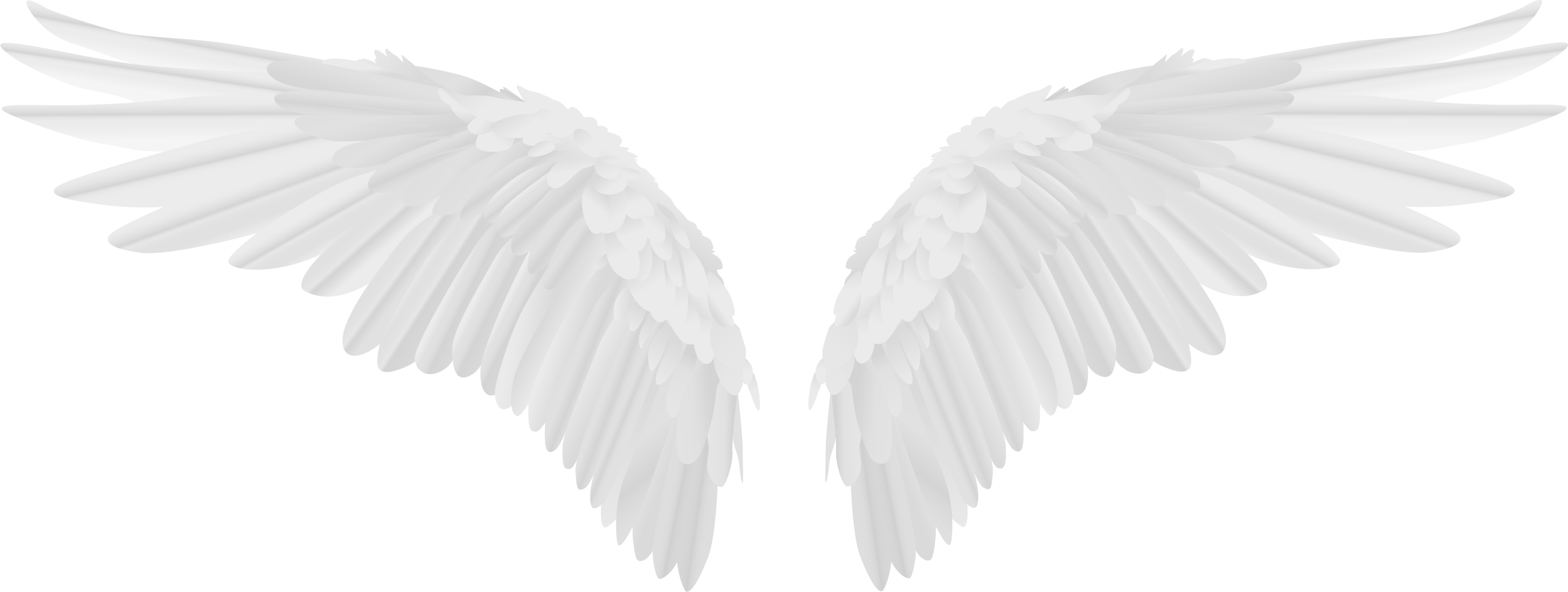 Detail Angel Wings Picsart Koleksi Nomer 2 Detail Angel Wings Picsart Koleksi Nomer 2