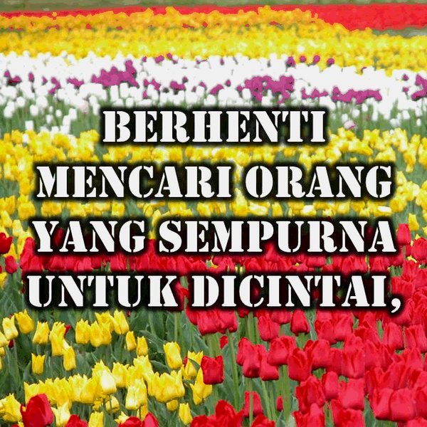 Detail Gambar Kata Kata Animasi Koleksi Nomer 47 Detail Gambar Kata Kata Animasi Koleksi Nomer 47