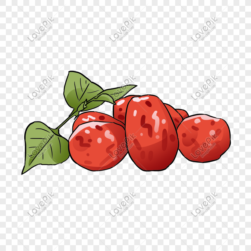 Detail Gambar Kurma Vector Png Koleksi Nomer 43 Detail Gambar Kurma Vector Png Koleksi Nomer 43