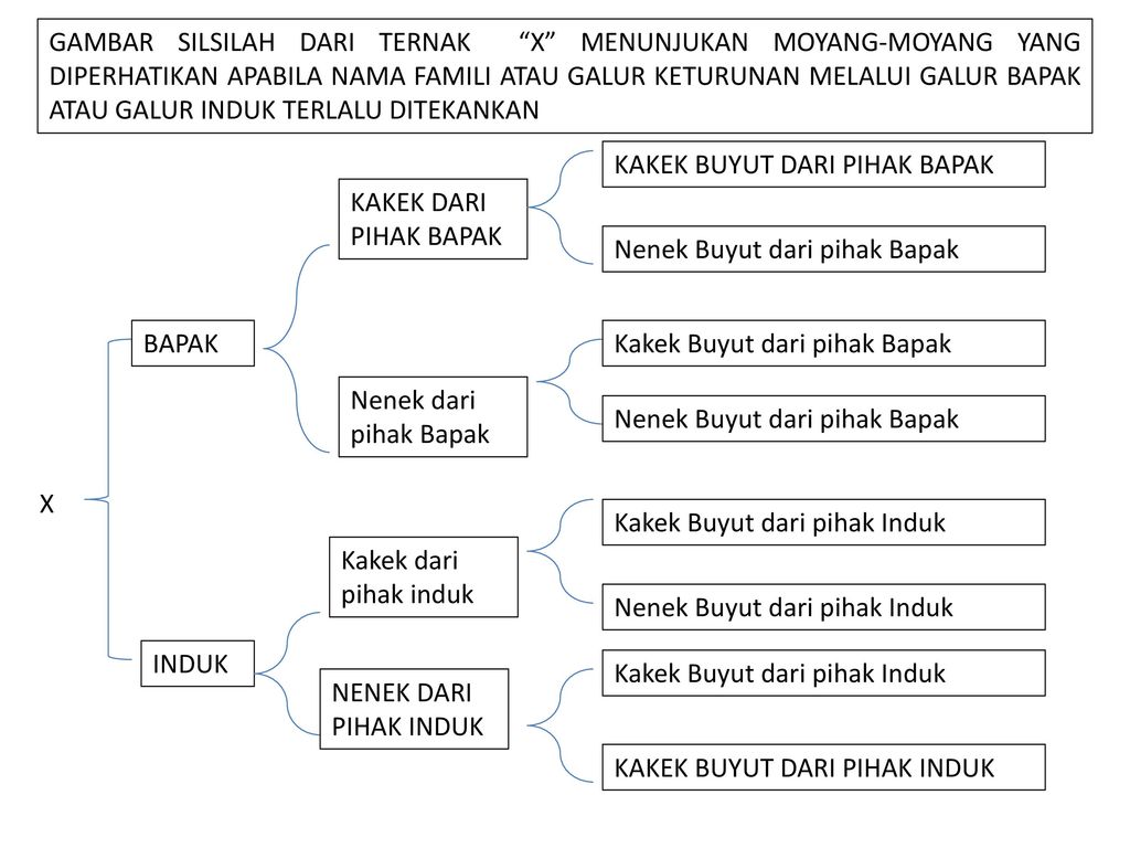 Detail Contoh Silsilah Keluarga 7 Turunan Koleksi Nomer 39 Detail Contoh Silsilah Keluarga 7 Turunan Koleksi Nomer 39
