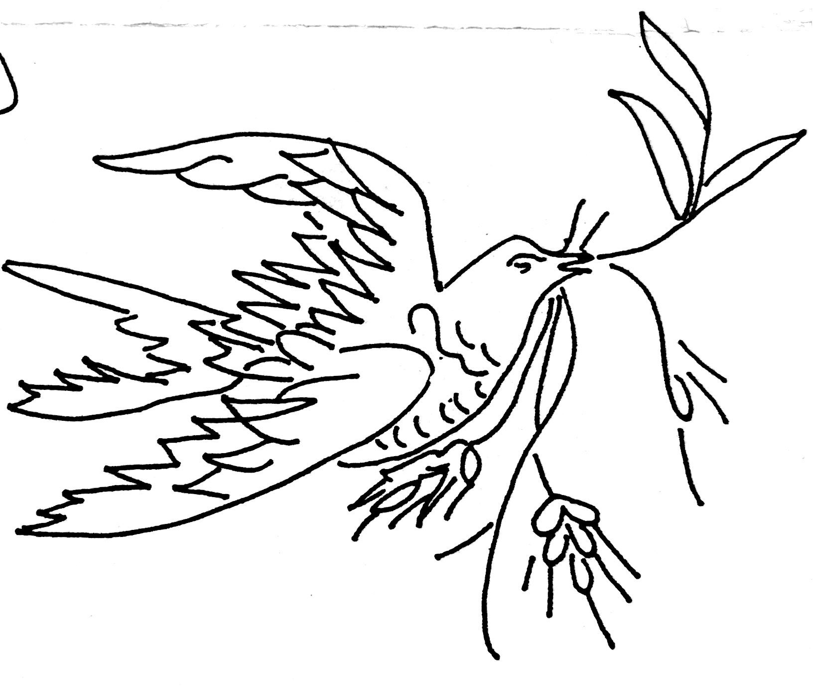 Detail Gambar Mewarnai Burung Cendrawasih Koleksi Nomer 56