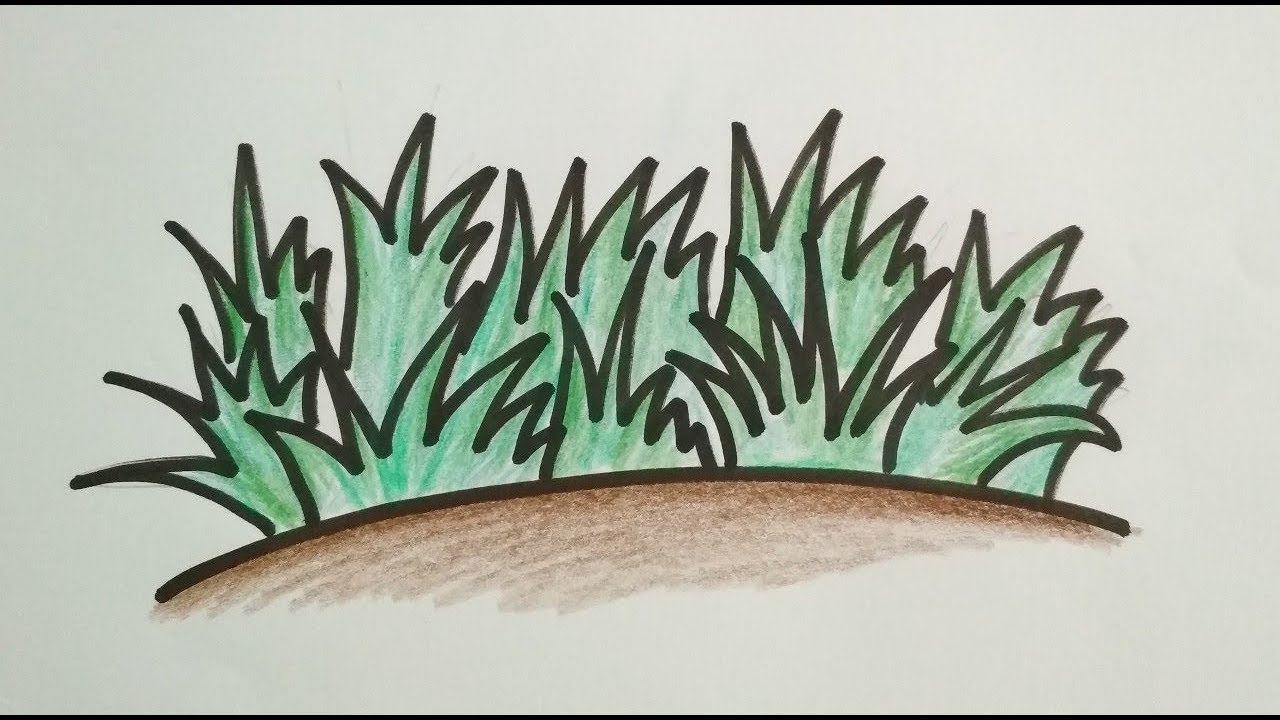 Detail Gambar Mewarnai Rumput Dan Bunga Koleksi Nomer 6