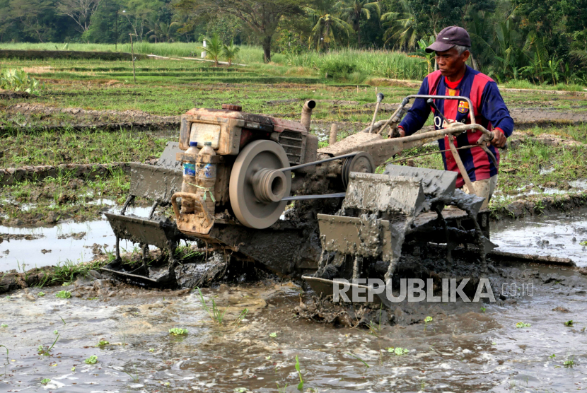 Gambar Orang Membajak Sawah Dengan Traktor 55 Koleksi Gambar