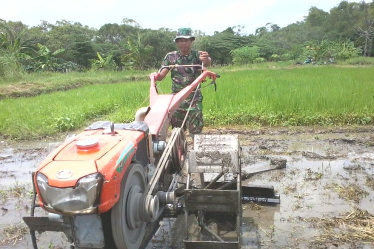 Detail Gambar Orang Membajak Sawah Dengan Traktor Koleksi Nomer 8