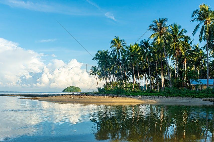 Gambar Pemandangan Pantai Asli 55 Koleksi Gambar