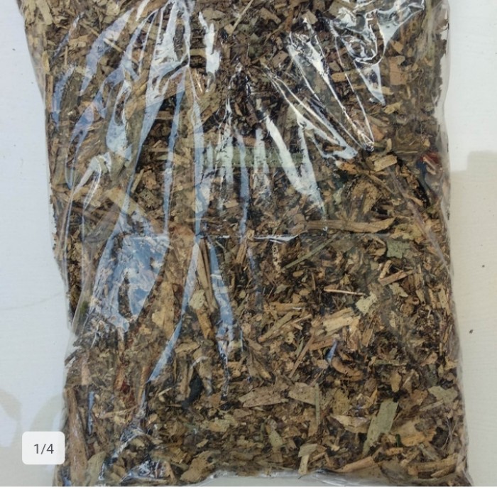 Detail Daun Bambu Kering Koleksi Nomer 12 Detail Daun Bambu Kering Koleksi Nomer 12