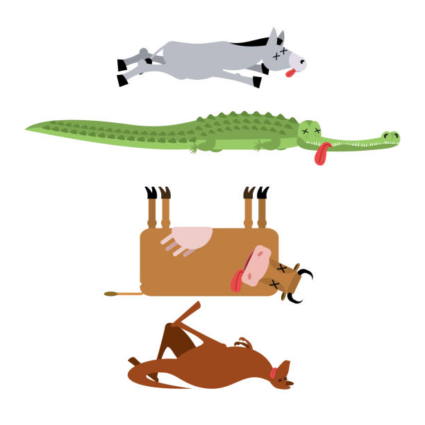 Dead Deer Clipart