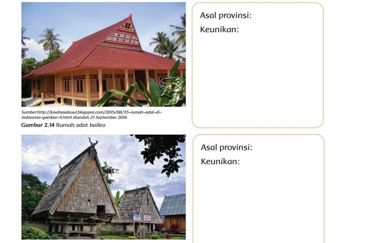 Detail Gambar Rumah Adat Baileo Dan Keunikannya Koleksi Nomer 11 Detail Gambar Rumah Adat Baileo Dan Keunikannya Koleksi Nomer 11