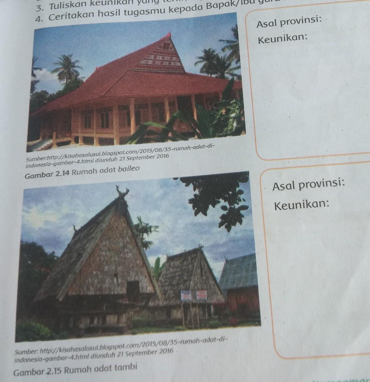 Detail Gambar Rumah Adat Baileo Dan Keunikannya Koleksi Nomer 10 Detail Gambar Rumah Adat Baileo Dan Keunikannya Koleksi Nomer 10